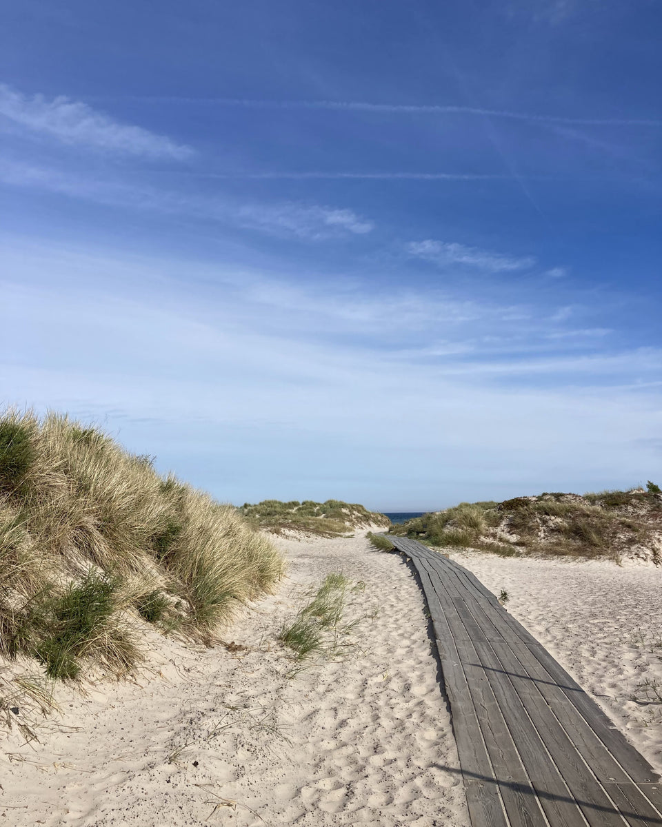 Original 'Sand Dune in Sweden' painting – Noama